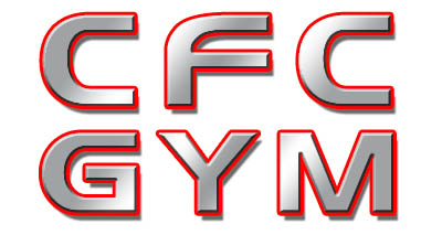 Mixed Martial Arts Logo